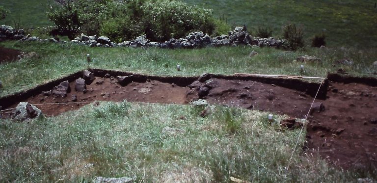 Home - NZ Archaeological Association